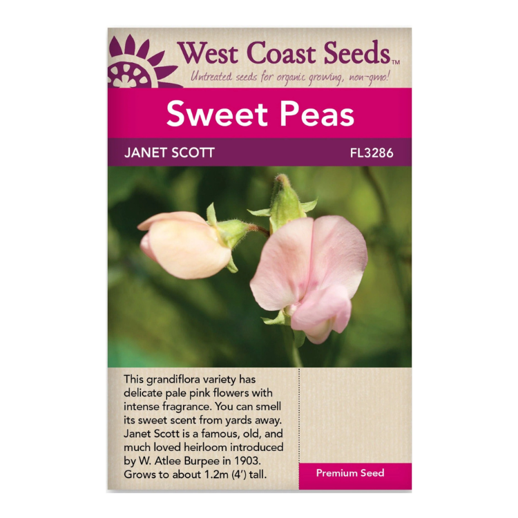 West Coast Seeds Janet Scott Sweet Pea Seeds - 35 Seeds – Vegan Supply