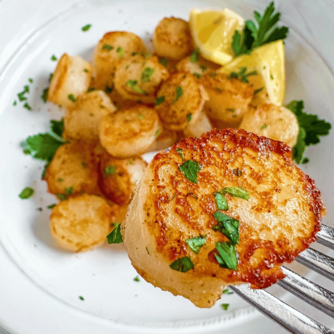 Seafood Substitutes – Vegan Supply