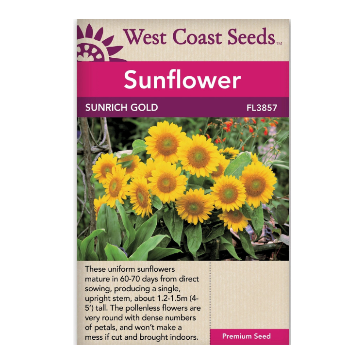 West Coast Seeds Sunrich Gold Sunflower Seeds - 20 Seeds – Vegan Supply